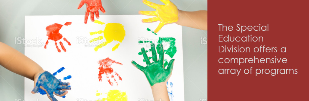 specialt-ed-banner - Western Suffolk Boces